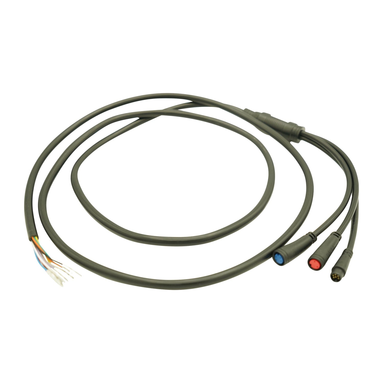 Wire Harness - LS7+ (New Generation) - RoadRunner Scooters